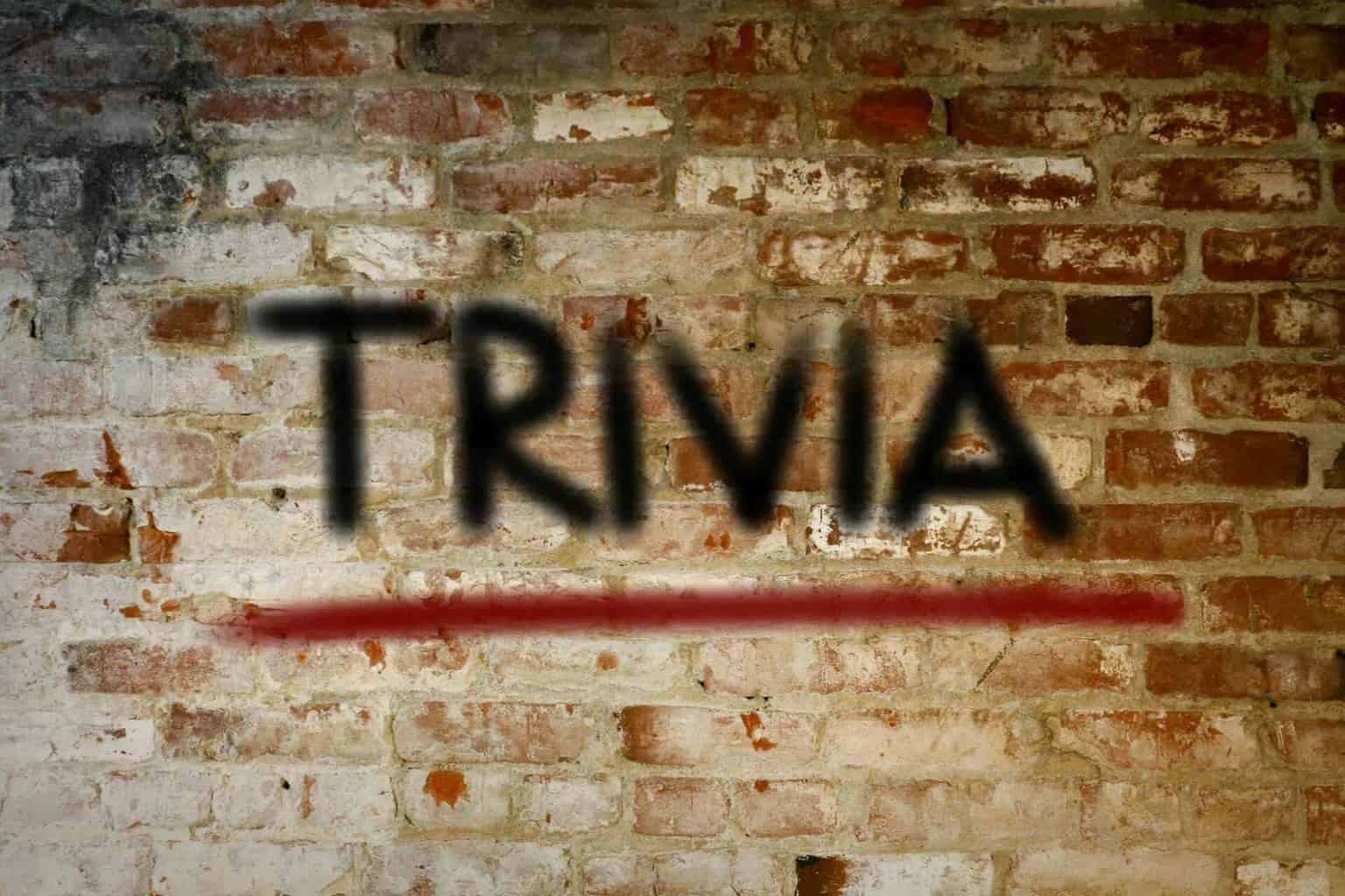 The Importance of Trivia Questions for Your Brain