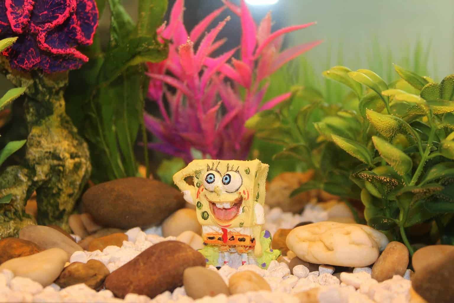 25+ Spongebob Trivia Questions & Answers (Fun Quiz) - Mantelligence